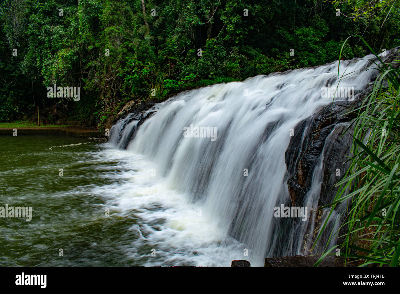 Beautiful destination near cairns, Malanda falls, tropical Queensland Australia Stock Photo - Alamy