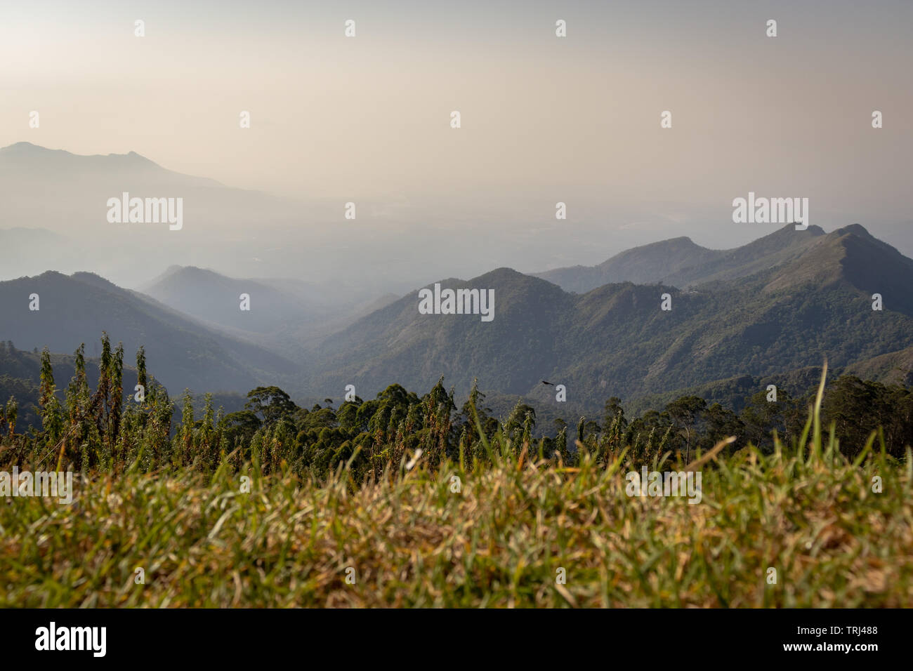 Image of coakers walk view hi-res stock photography and images - Alamy