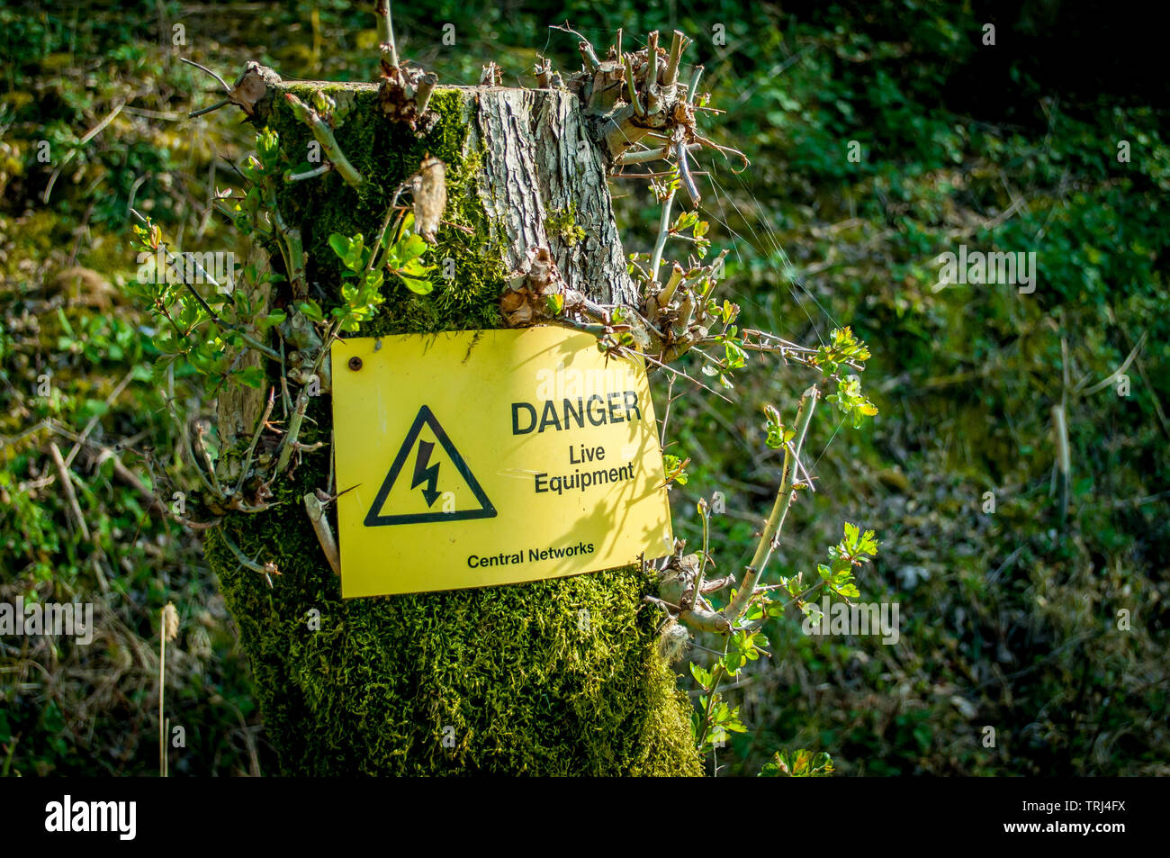 Danger Live Equipment sign on a tree stump Stock Photo - Alamy