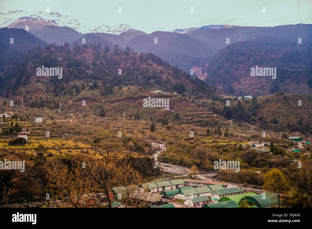 Panorama,Lachung,valley,yellow,corn,fields,snow,capped,peaks,folwing ...