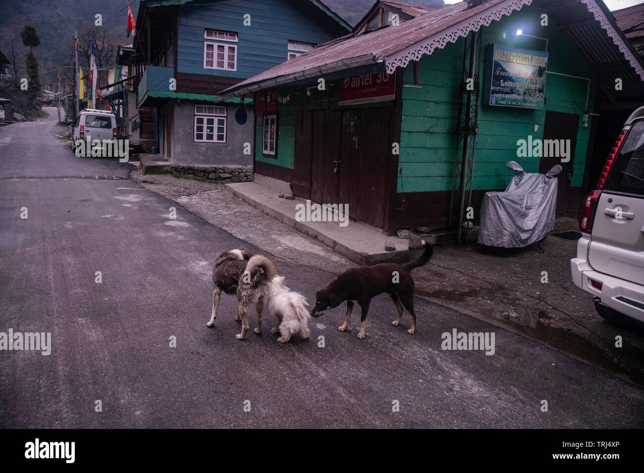 Sikkim architecture hi-res stock photography and images - Alamy