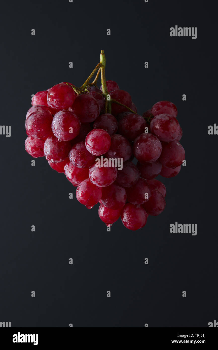 Big grape hi-res stock photography and images - Alamy