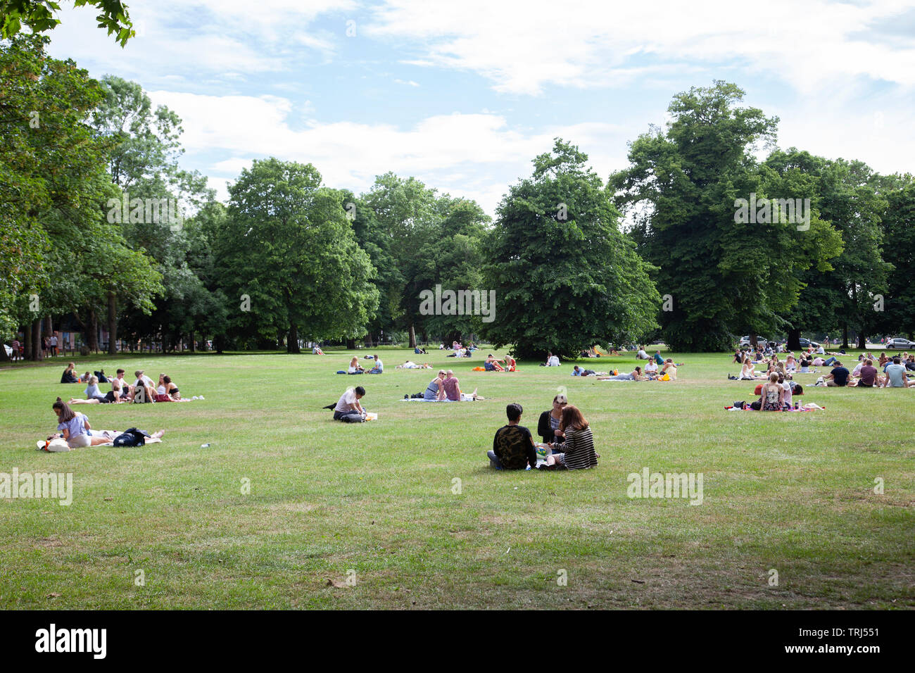 Parks with greenery hi-res stock photography and images - Alamy