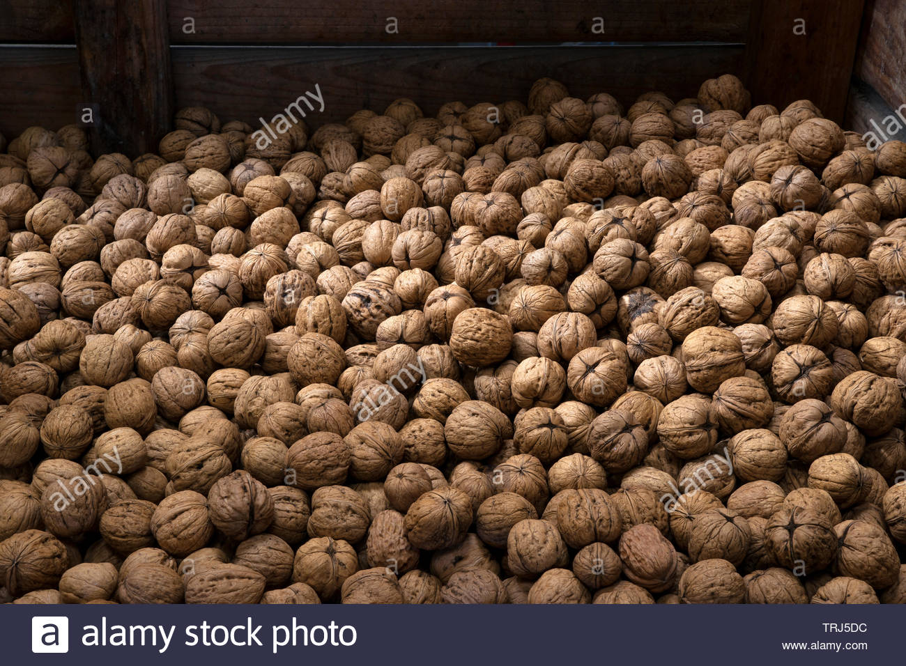 Walnut Grenoble High Resolution Stock Photography and Images - Alamy