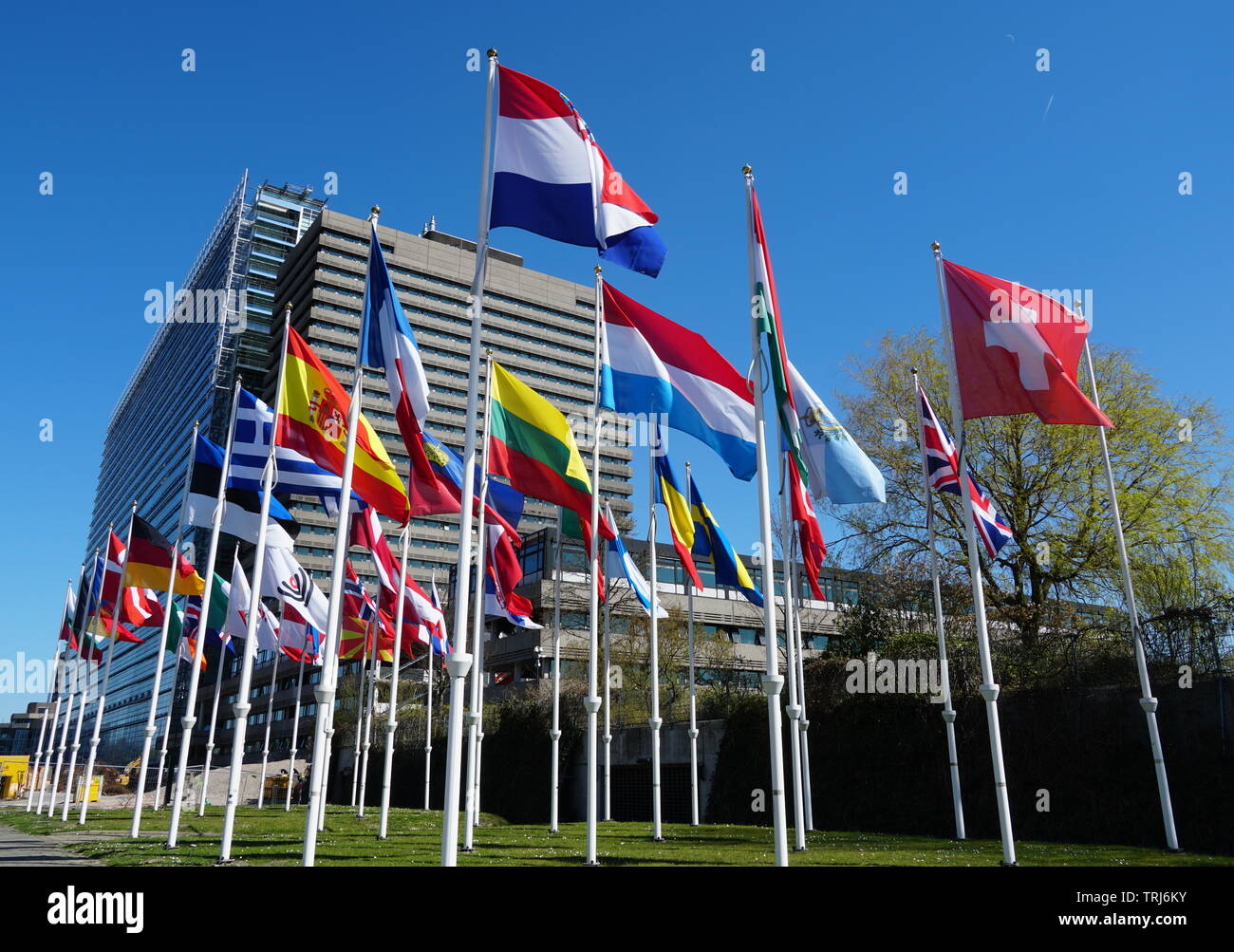 Invention Patent Europe High Resolution Stock Photography and Images ...