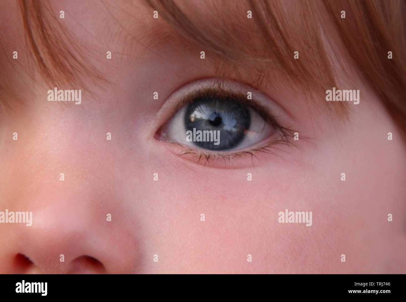 Babys eye hi-res stock photography and images - Alamy