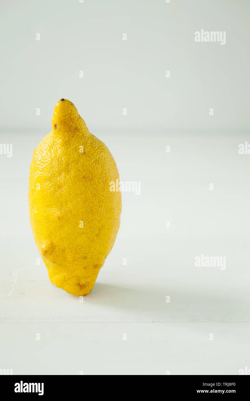 Trendy ugly organic lemon unusual shape on white background with copy ...