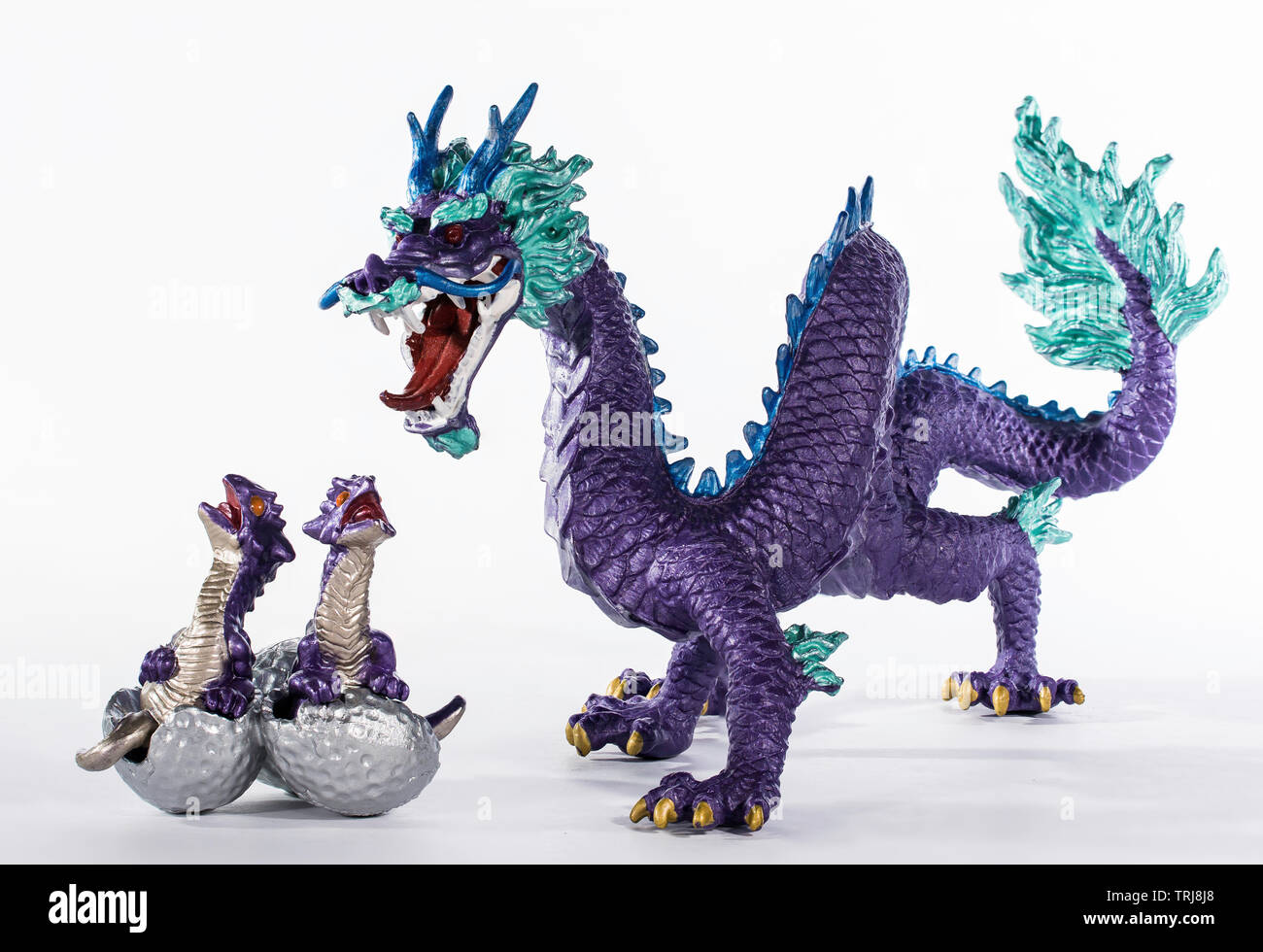 Purple And Silver Dragon