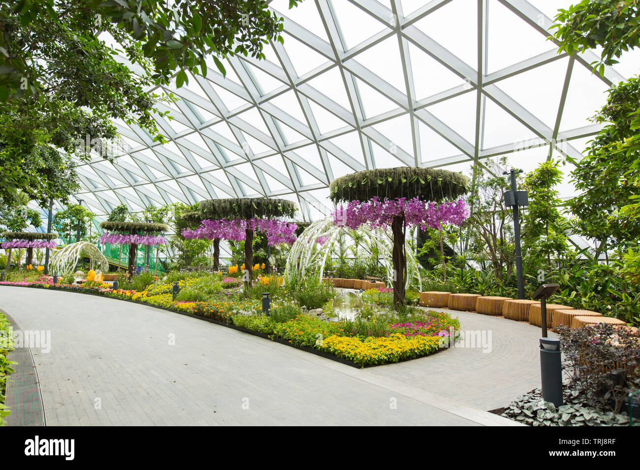 Landscaping view of Canopy Park at Jewel Changi Airport, no people to ...