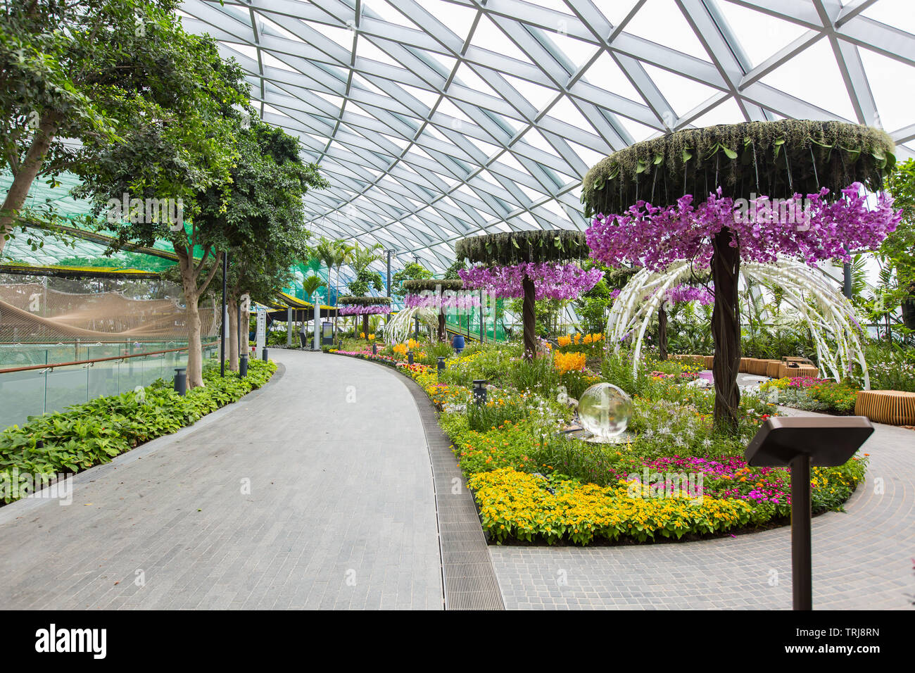 Beautiful indoor view of Canopy Park at Jewel Changi Airport, Singapore ...