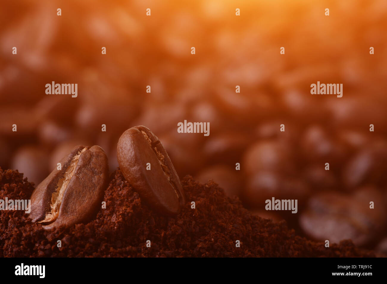 Closeup of coffee beans at roasted coffee heap. Coffee bean on macro ...