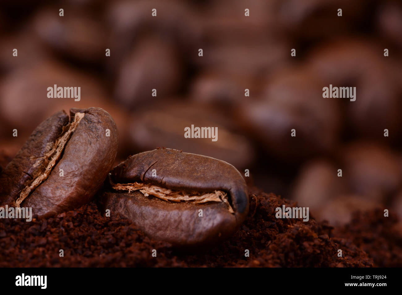 Closeup of coffee beans at roasted coffee heap. Coffee bean on macro ...
