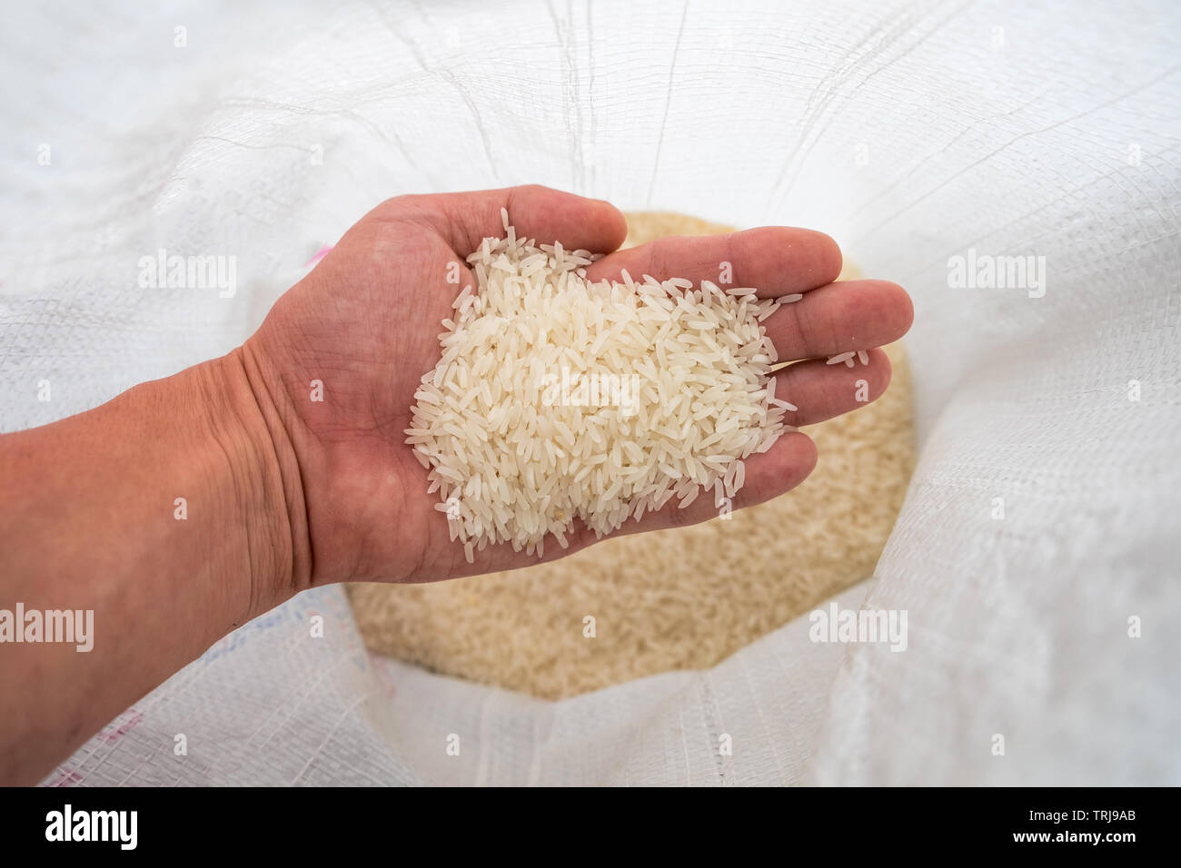 Hand scoop hi-res stock photography and images - Alamy