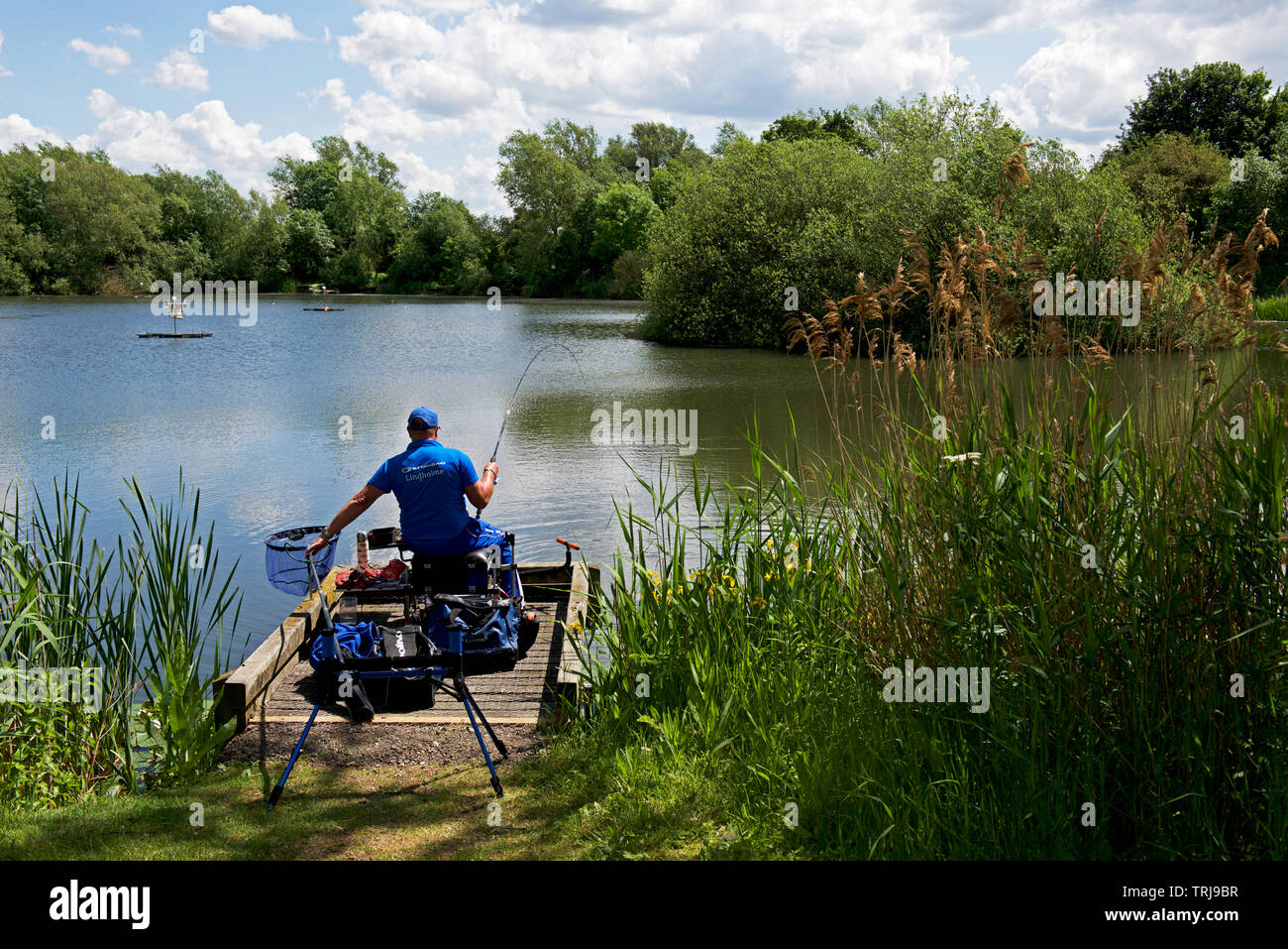 Sugar Mill Ponds, a local nature reserve at Rawcliffe Bridge, East ...