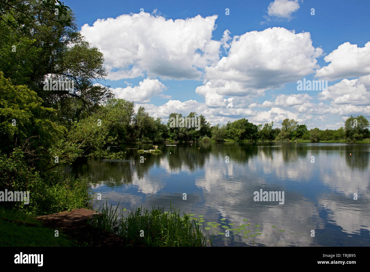 Sugar Mill Ponds, a local nature reserve at Rawcliffe Bridge, East ...