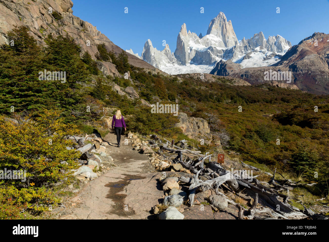 Mount Fitz Roy on Laguna de Los Tres trail, El Chalten, Patagonia ...