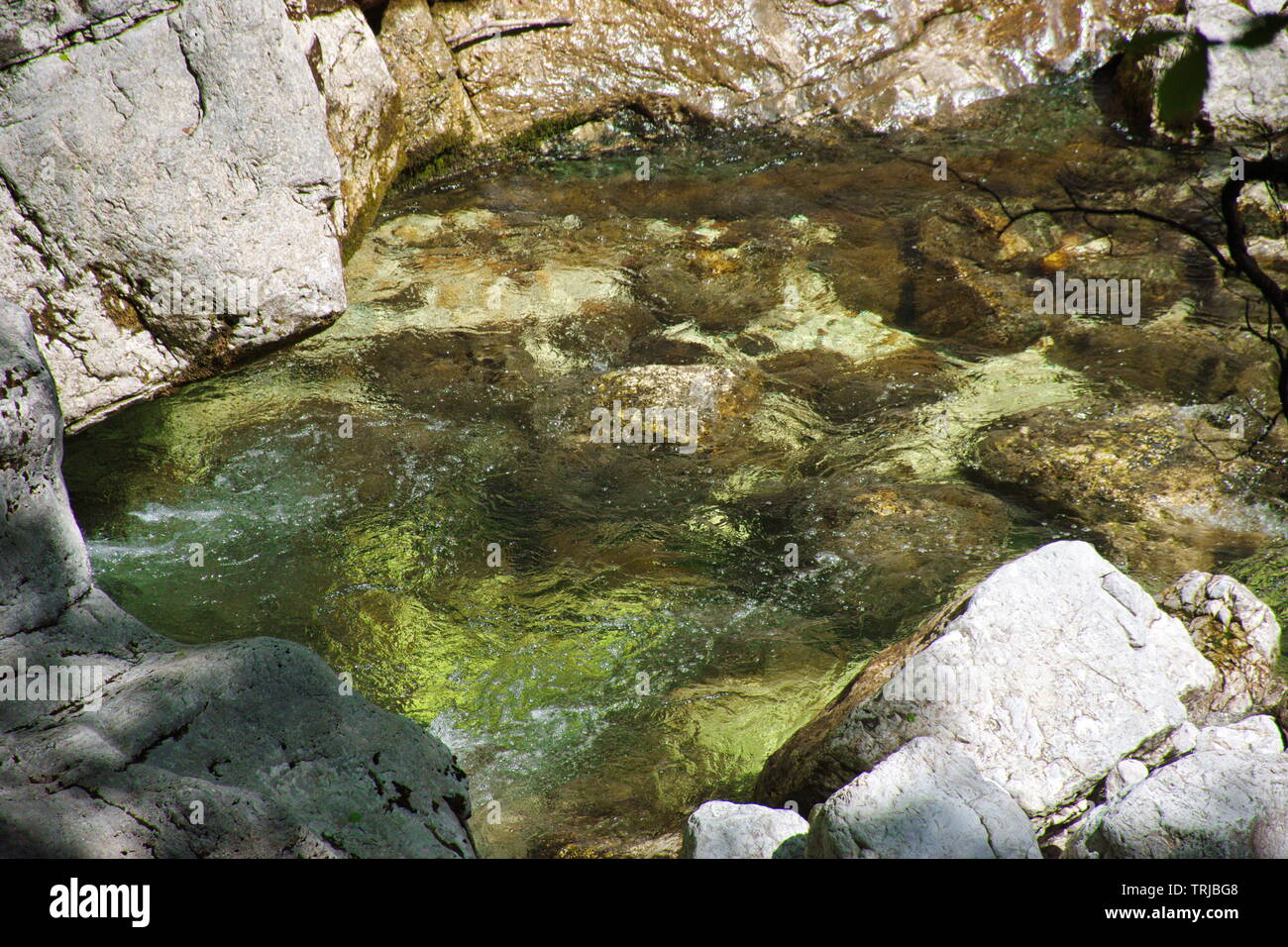 Closeup rocks in creek hi-res stock photography and images - Alamy