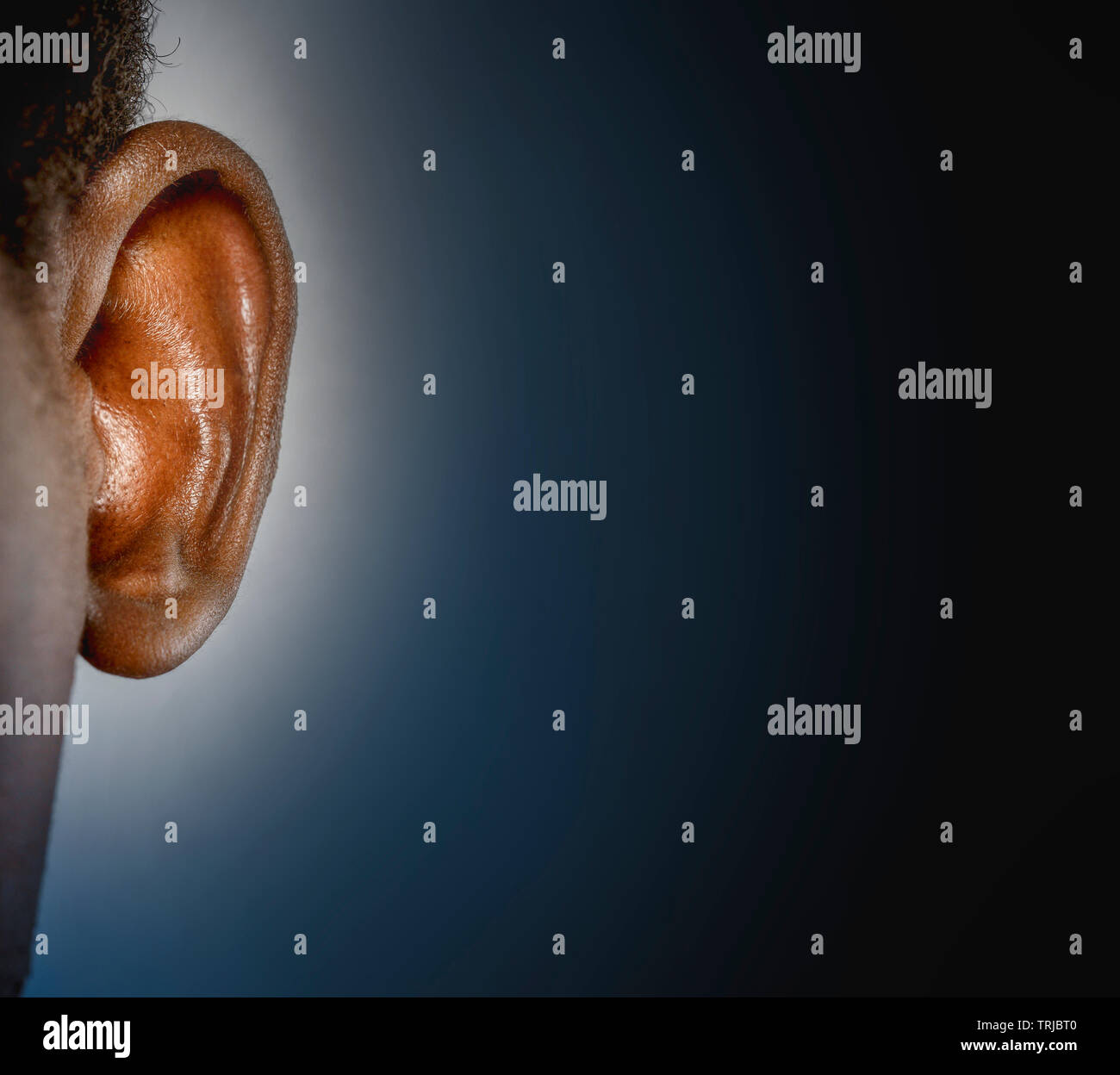 human ear detail close-up shot isolated Stock Photo - Alamy