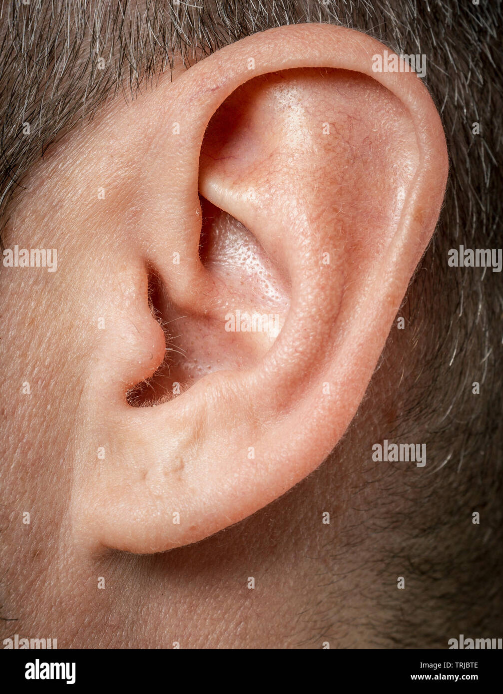 human ear detail close-up shot isolated Stock Photo - Alamy