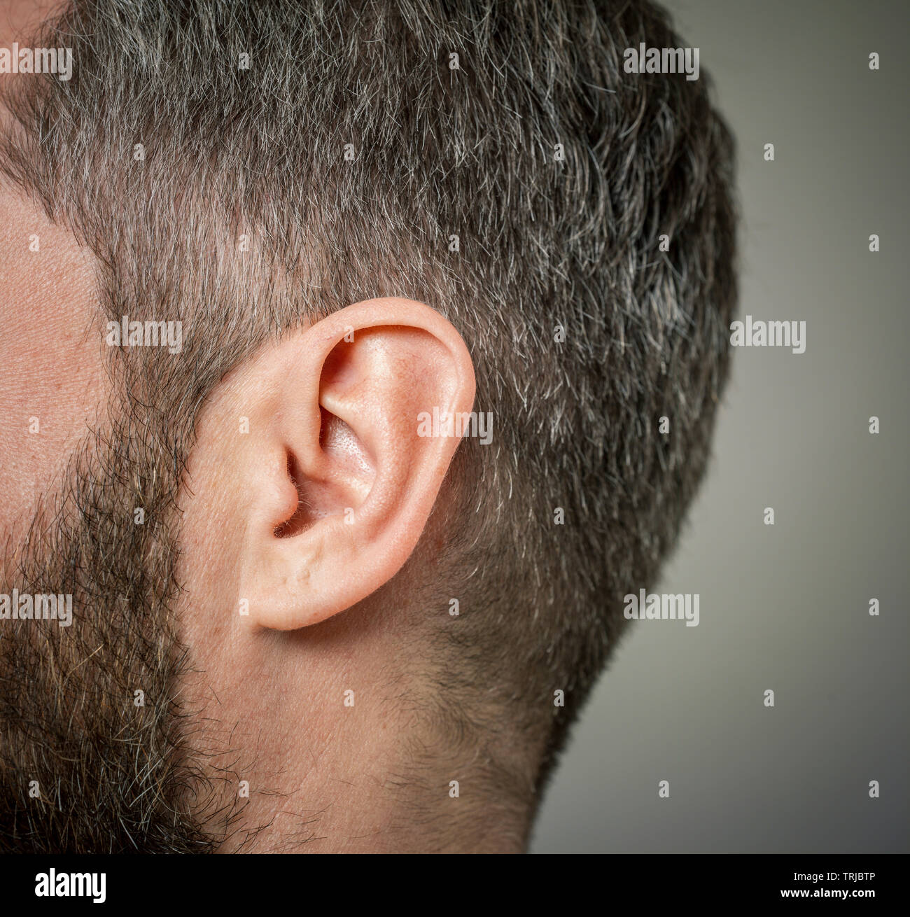 human ear detail close-up shot isolated Stock Photo - Alamy