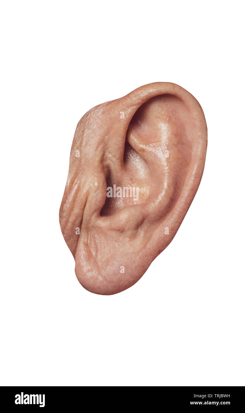 Ear Side View