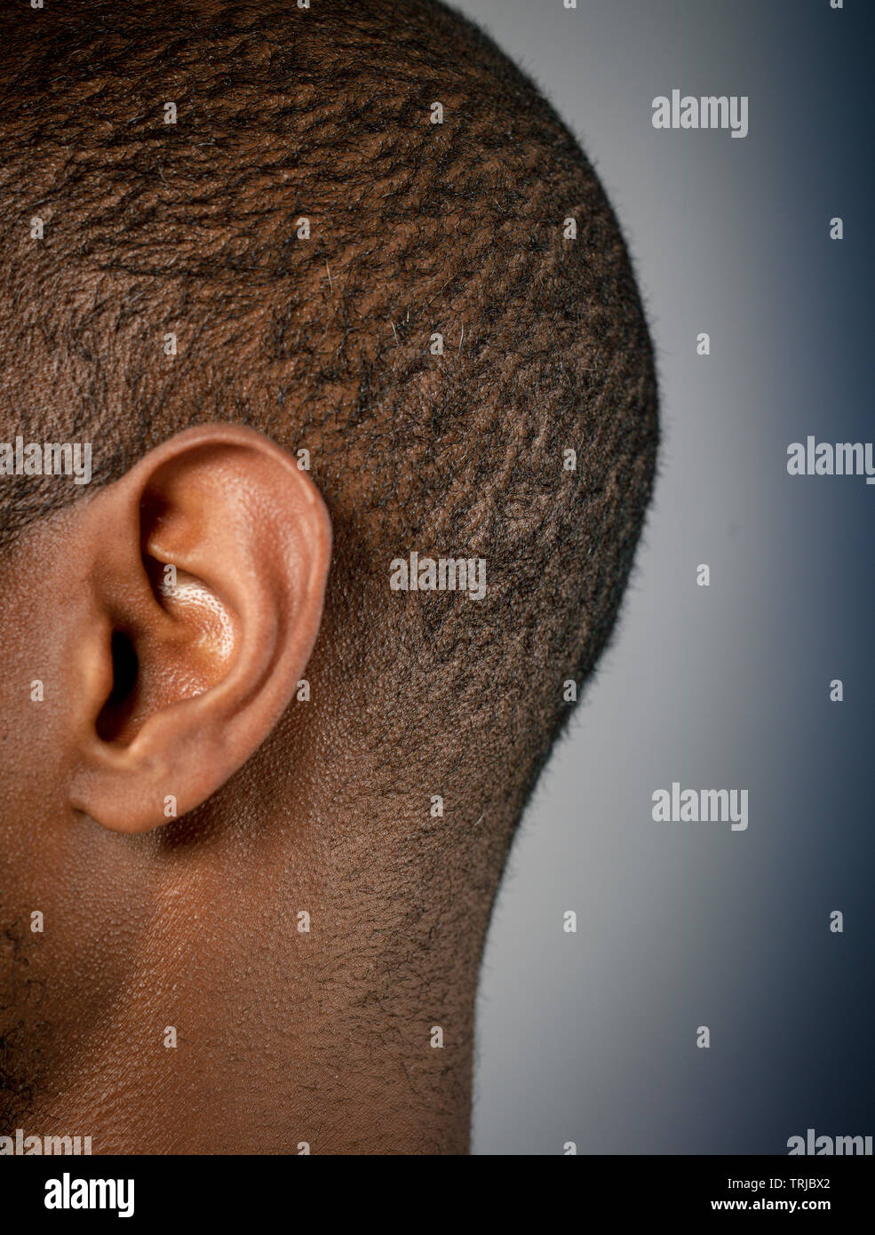 human ear detail close-up shot isolated Stock Photo - Alamy