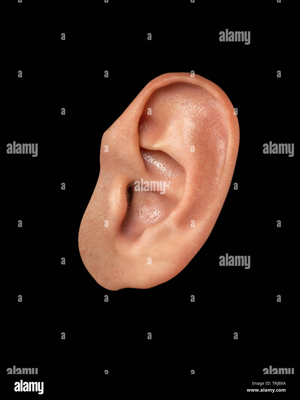 human ear detail close-up shot isolated Stock Photo - Alamy