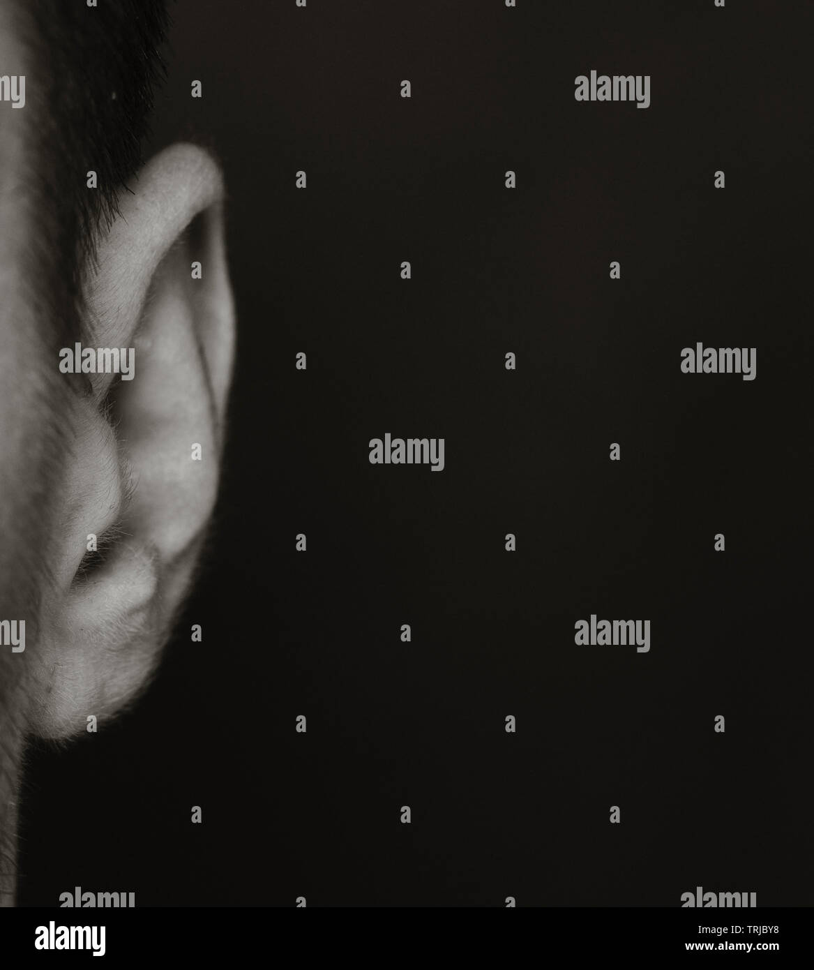human ear detail close-up shot isolated Stock Photo - Alamy