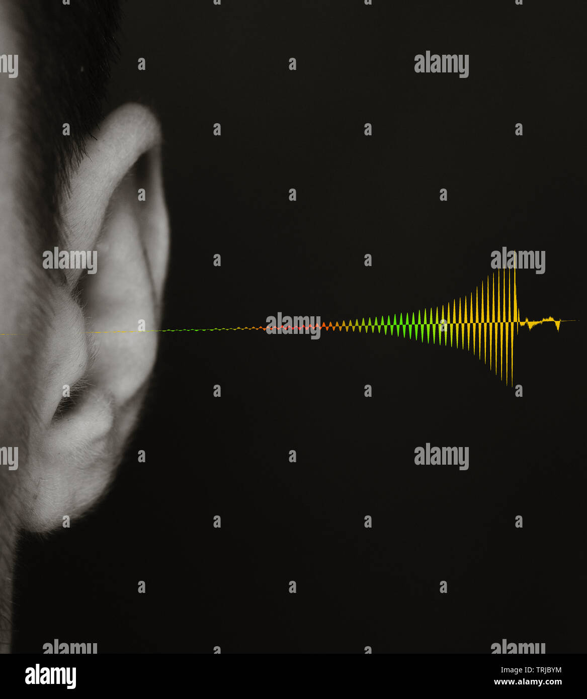 human ear detail close-up shot isolated Stock Photo - Alamy