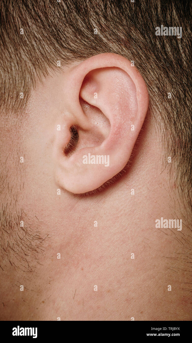 human ear detail close-up shot isolated Stock Photo - Alamy