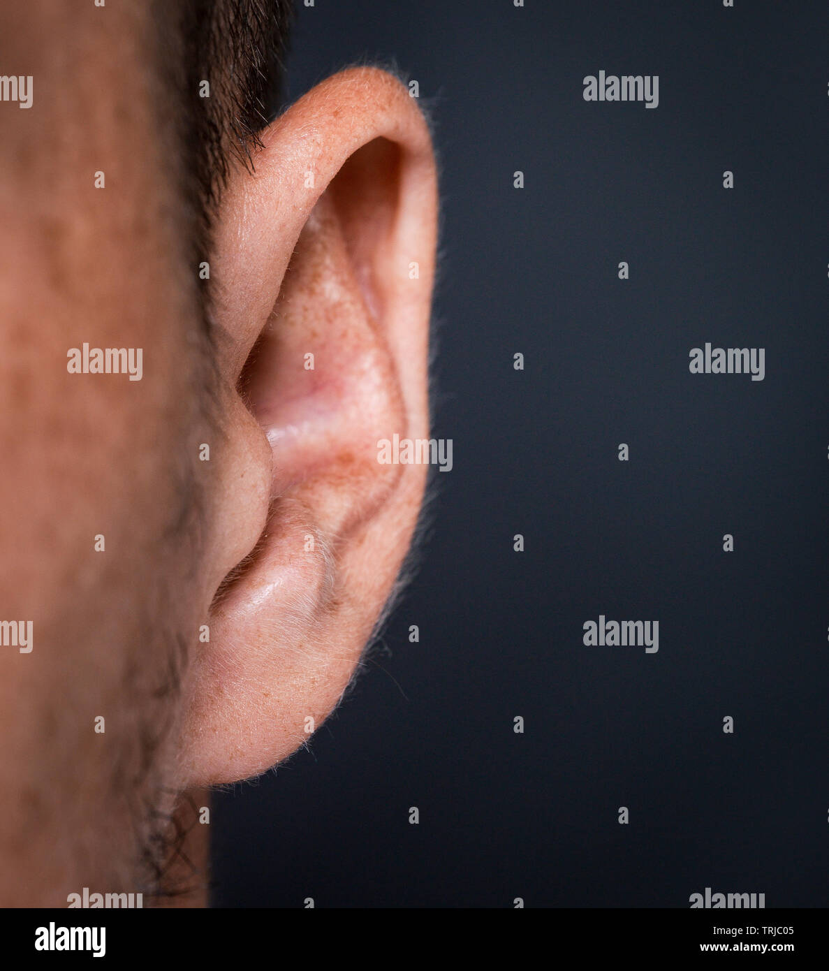 human ear detail close-up shot isolated Stock Photo - Alamy