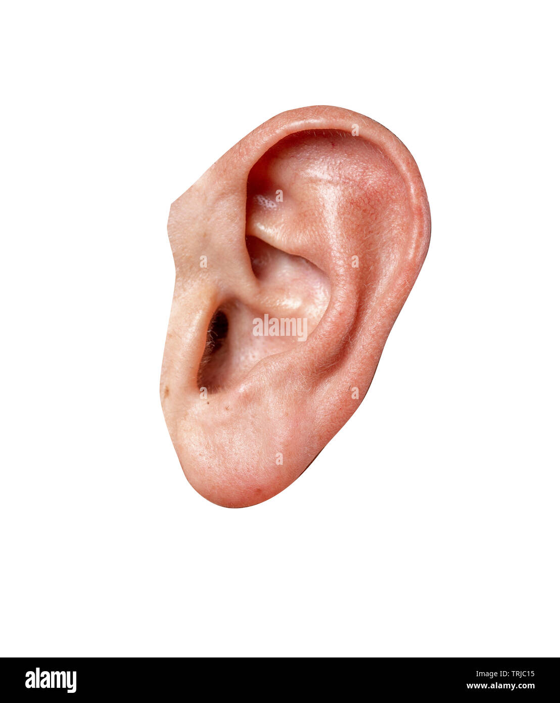 Human ear close up Cut Out Stock Images & Pictures - Alamy