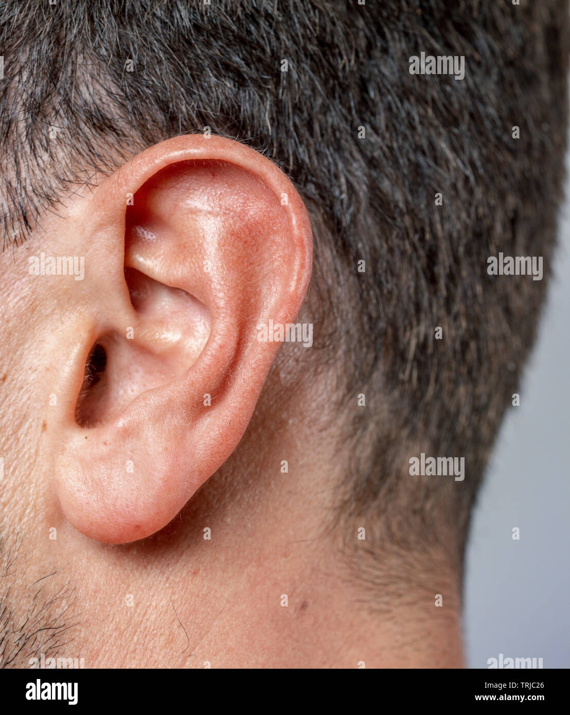 human ear detail close-up shot isolated Stock Photo - Alamy
