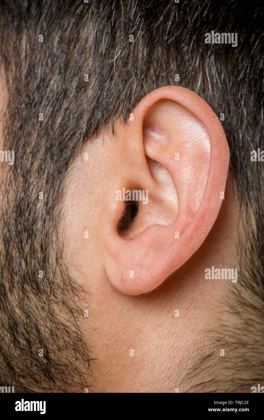 human ear detail close-up shot isolated Stock Photo - Alamy