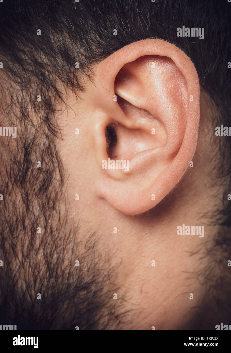 human ear detail close-up shot isolated Stock Photo - Alamy
