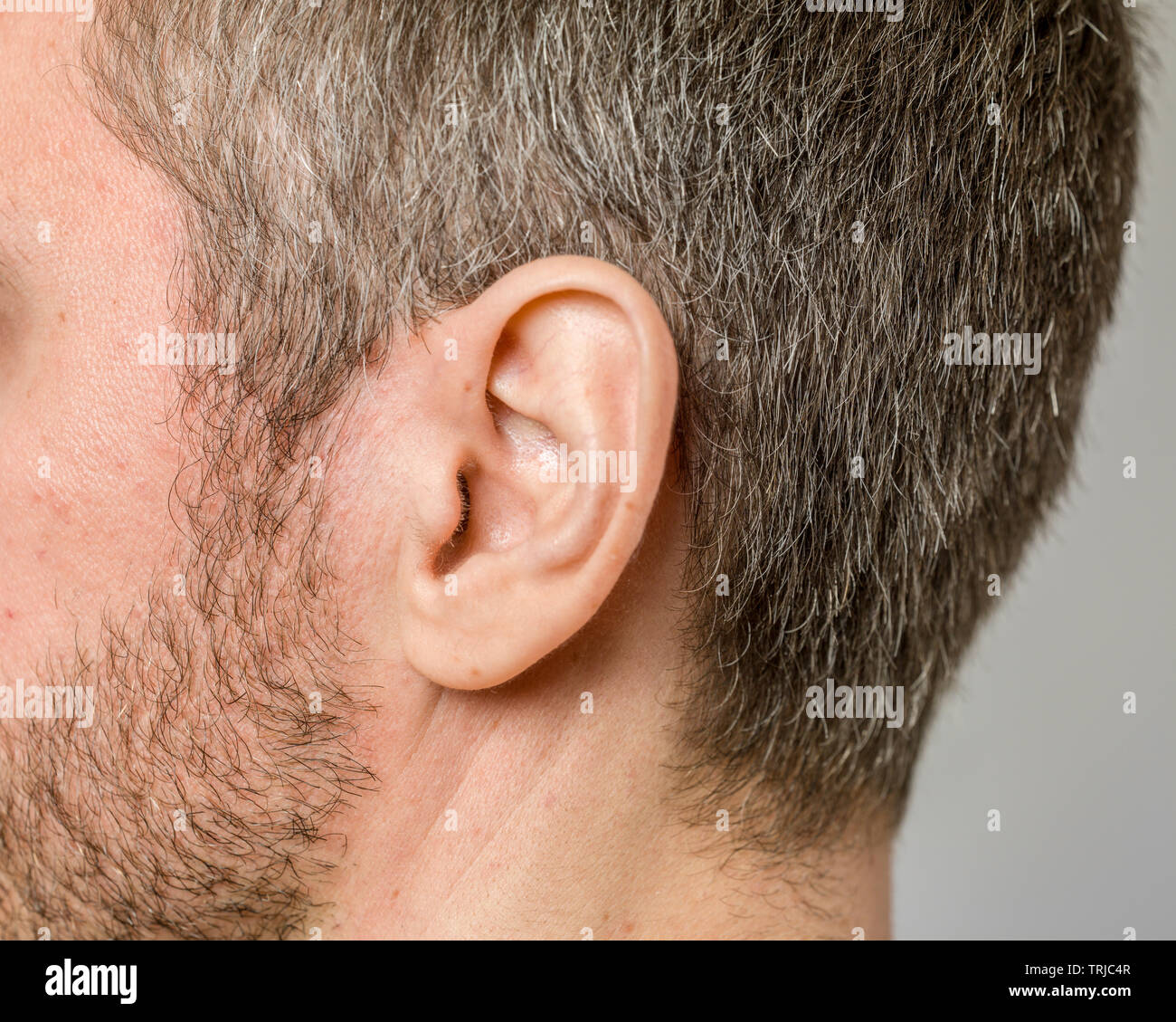 human ear detail close-up shot isolated Stock Photo - Alamy