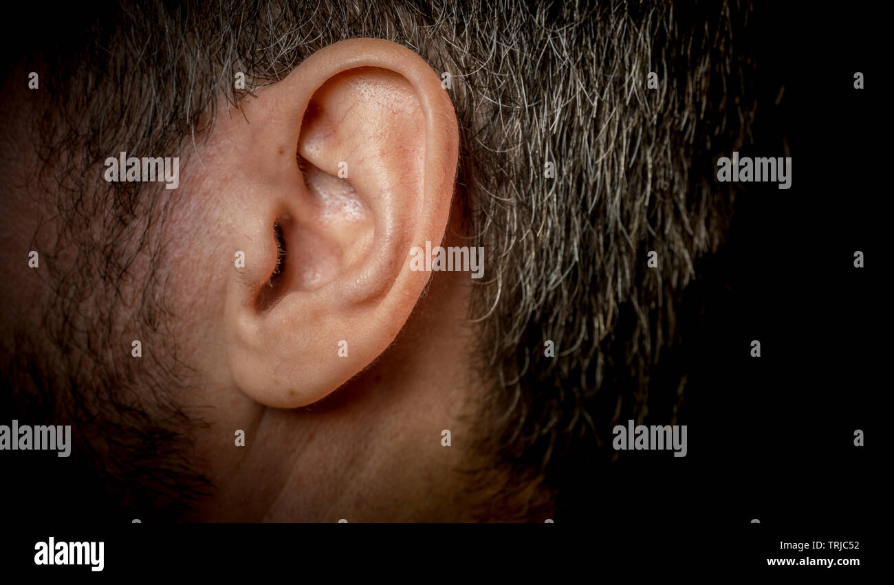human ear detail close-up shot isolated Stock Photo - Alamy
