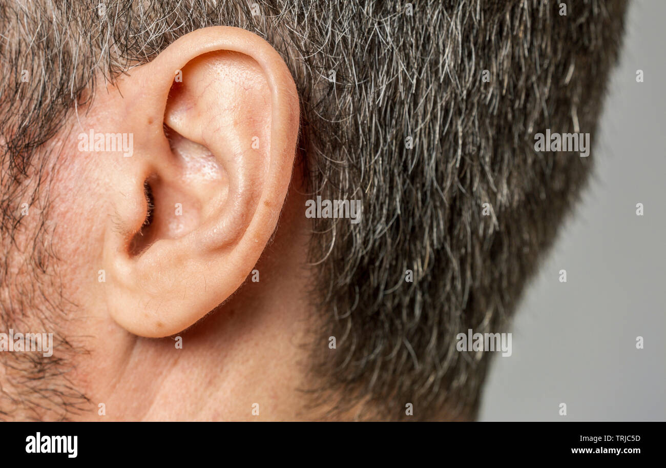 human ear detail close-up shot isolated Stock Photo - Alamy