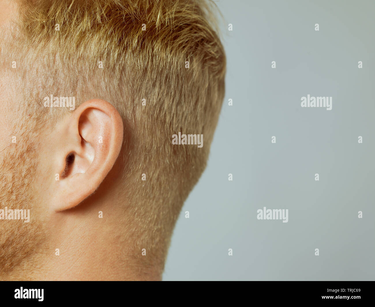 human ear detail close-up shot isolated Stock Photo - Alamy