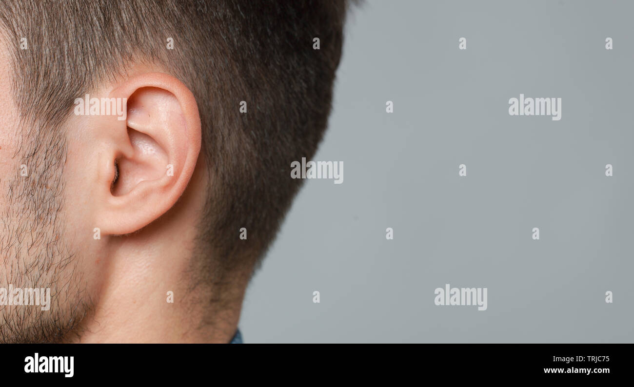 human ear detail close-up shot isolated Stock Photo - Alamy