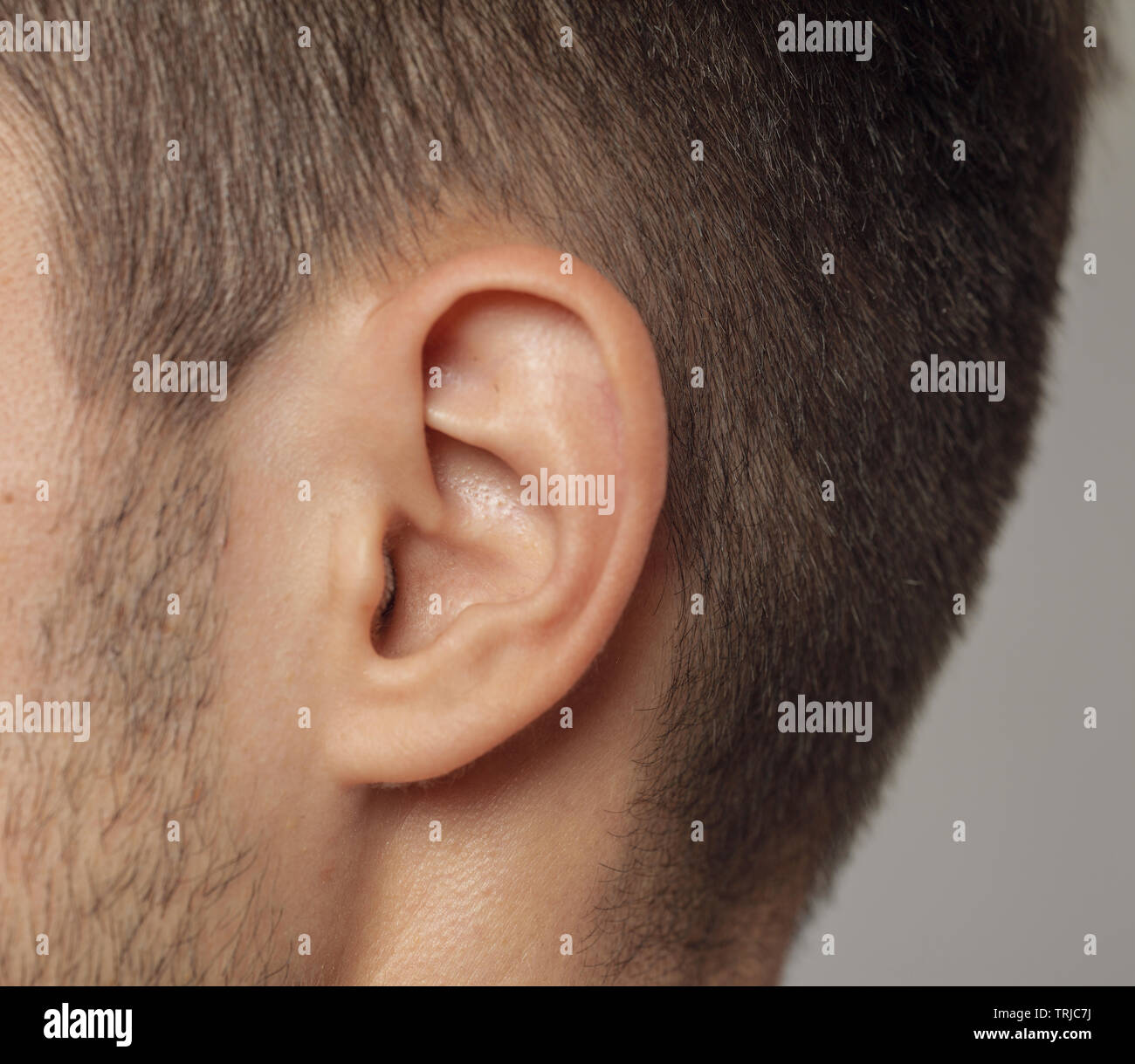 human ear detail close-up shot isolated Stock Photo - Alamy