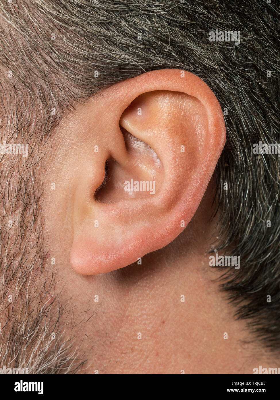 human ear detail close-up shot isolated Stock Photo - Alamy