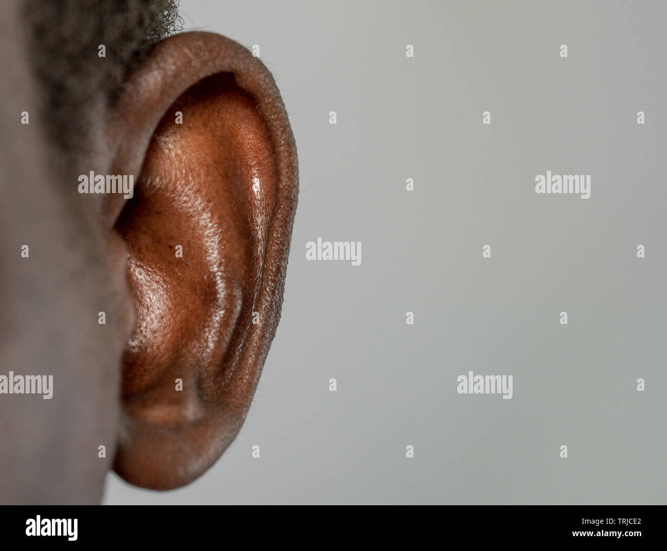 human ear detail close-up shot isolated Stock Photo - Alamy