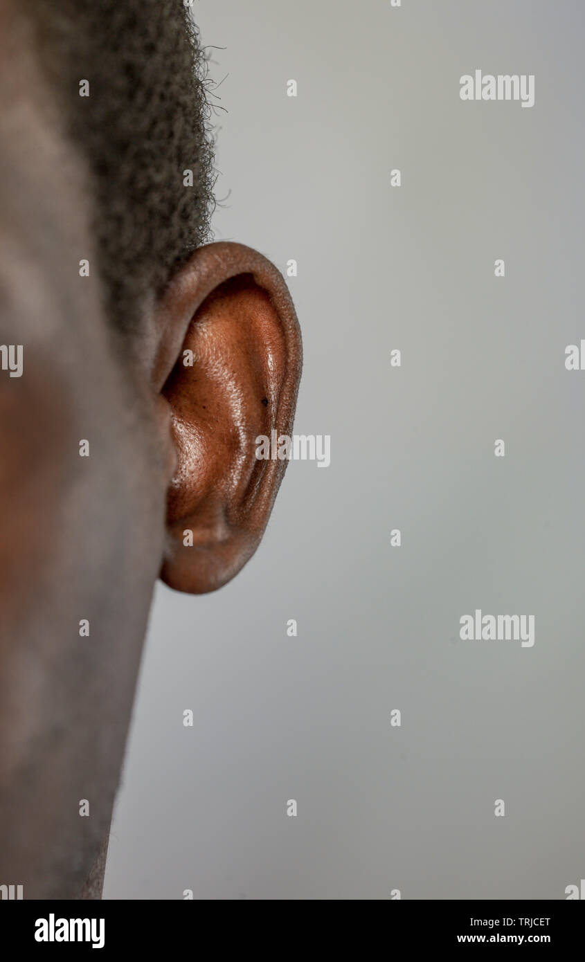 human ear detail close-up shot isolated Stock Photo - Alamy