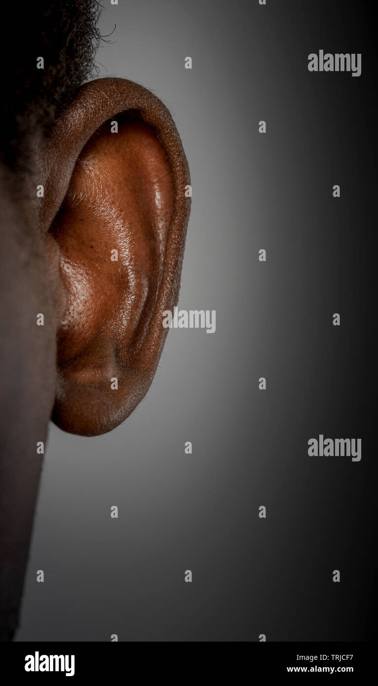 human ear detail close-up shot isolated Stock Photo - Alamy