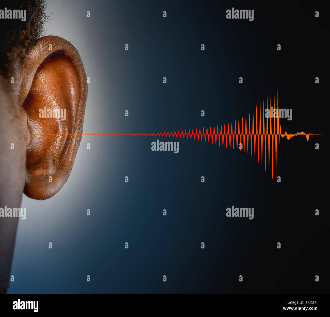 human ear detail close-up shot isolated Stock Photo - Alamy