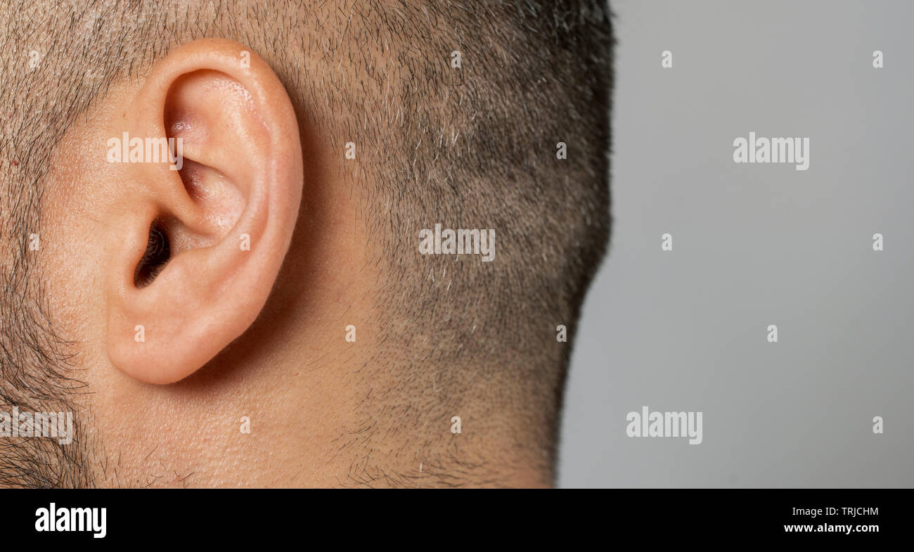 human ear detail close-up shot isolated Stock Photo - Alamy