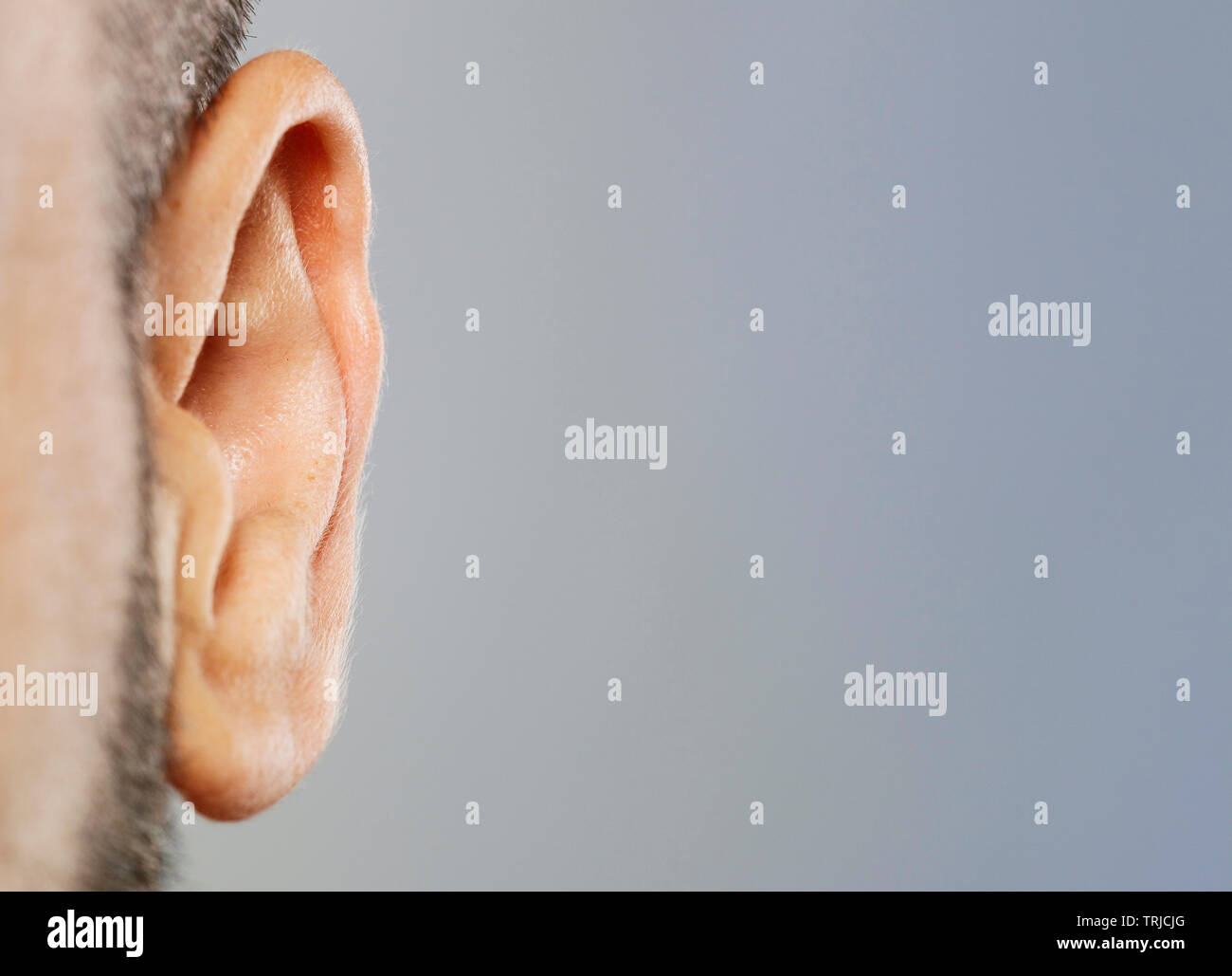 human ear detail close-up shot isolated Stock Photo - Alamy