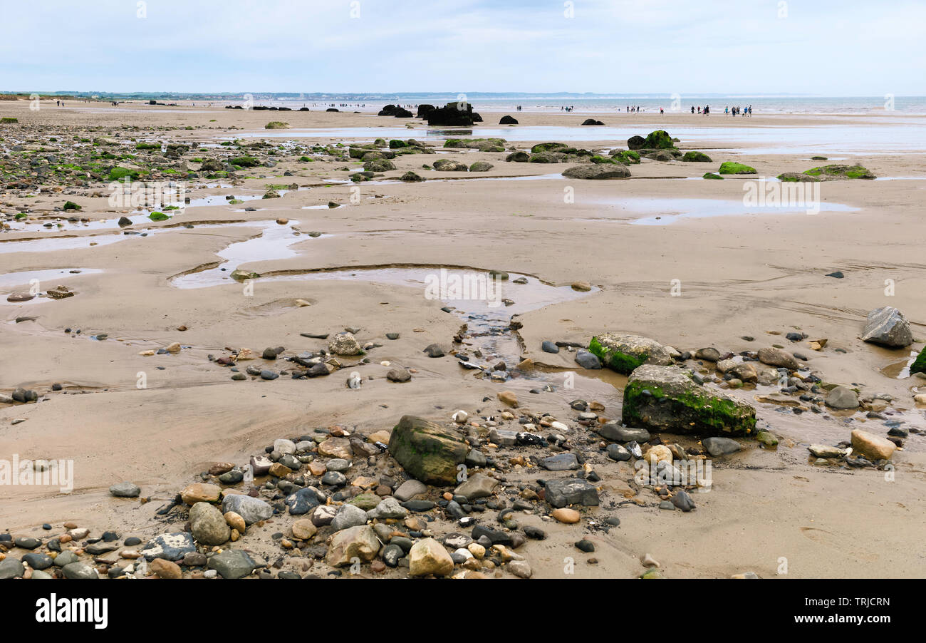 View along sandy beach with pebbles and boulders at low tide on bright ...