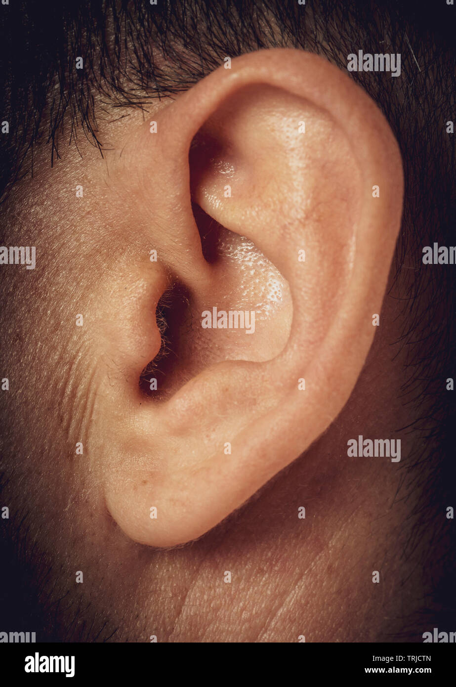 human ear detail close-up shot isolated Stock Photo - Alamy